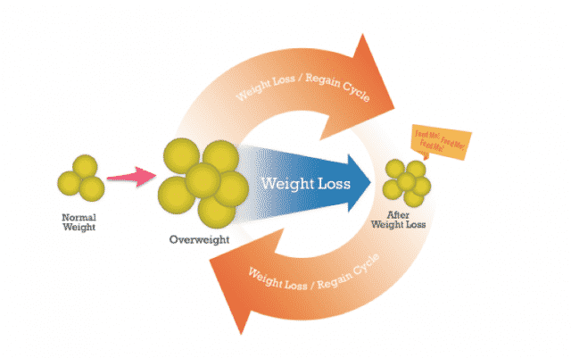 Dr. Rick Tague. M.D., M.P.H. & T.M. - Fat Cell Lifespan - Rick Tague, M ... Dr. Rick Tague. M.D., M.P.H. & T.M. - Fat Cell Lifespan - Rick Tague, M ...